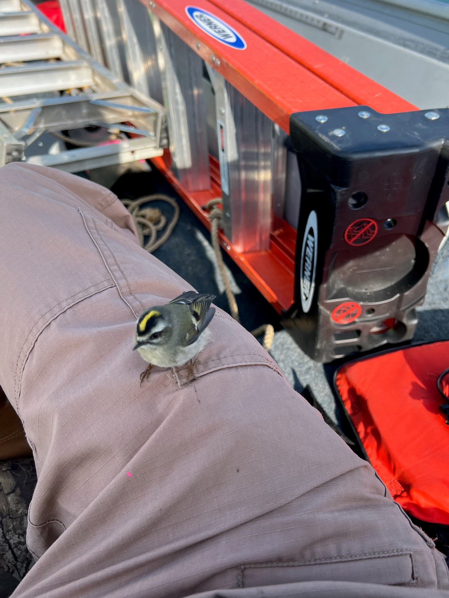 KS Associates Completes First Elevation Survey Ever to be Performed on ...